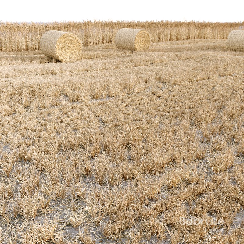 HQ Grass Round Hay Bale Farm Ground 3d model Buy Download 3dbrute
