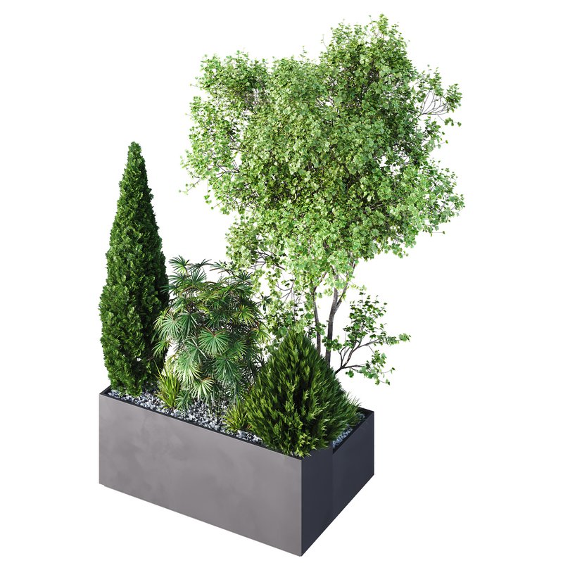 HQ Tree and bush garden box outdoor VOL 03 3d model Buy Download 3dbrute
