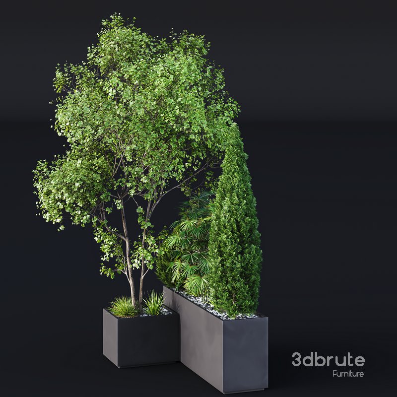 HQ Tree and bush garden box outdoor VOL 03 3d model Buy Download 3dbrute