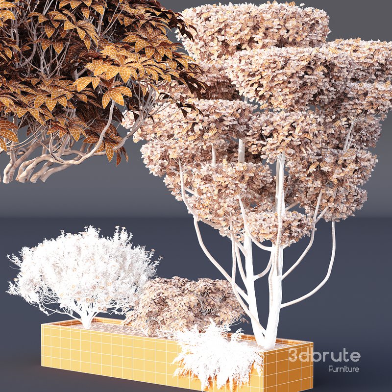 HQ Tree and bush garden box outdoor VOL 02 3d model Buy Download 3dbrute