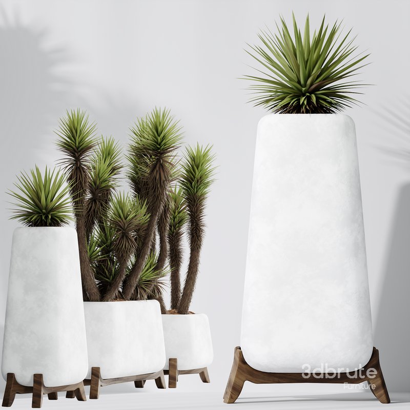 HQ Plants Yucca Elephantipes Valida Vase Set01 3d model Buy Download ...