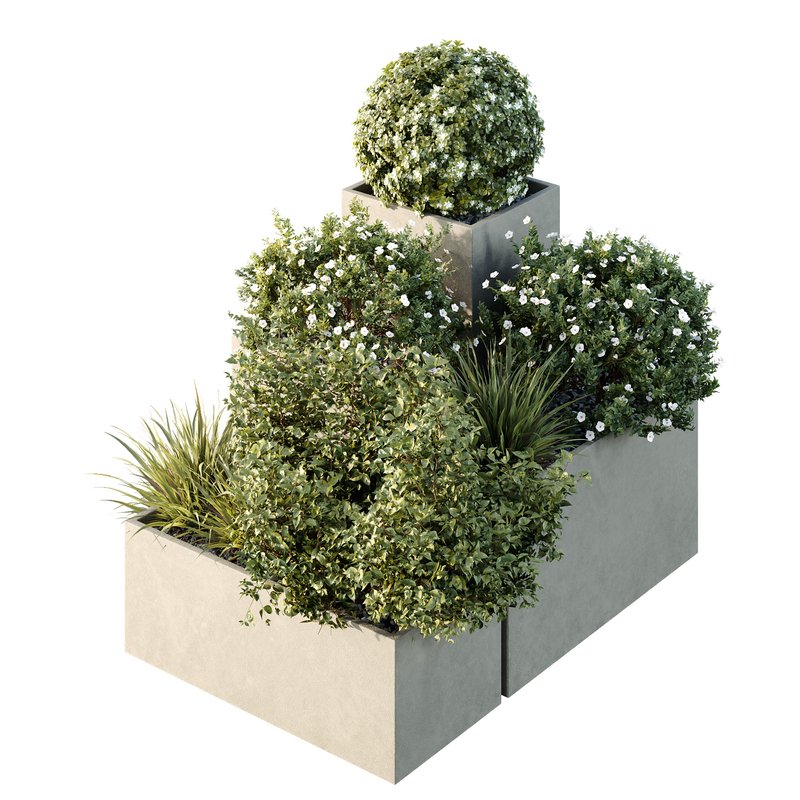 HQ Tree and bush garden box outdoor VOL 10 3d model Buy Download 3dbrute
