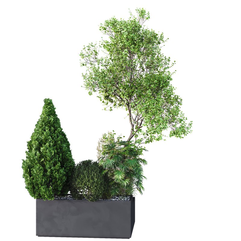 HQ Tree and bush garden box outdoor VOL 05 3d model Buy Download 3dbrute