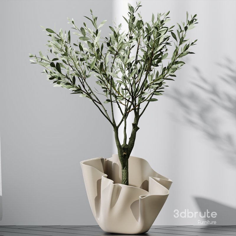 Plants Mission Olive Tree Indoor Vase Set002 3d model Buy Download 3dbrute