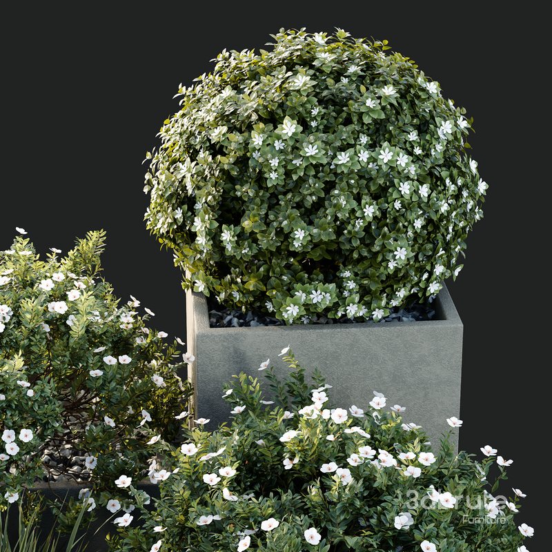 HQ Tree and bush garden box outdoor VOL 10 3d model Buy Download 3dbrute
