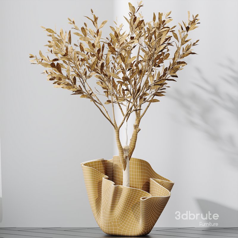 Plants Mission Olive Tree Indoor Vase Set002 3d model Buy Download 3dbrute