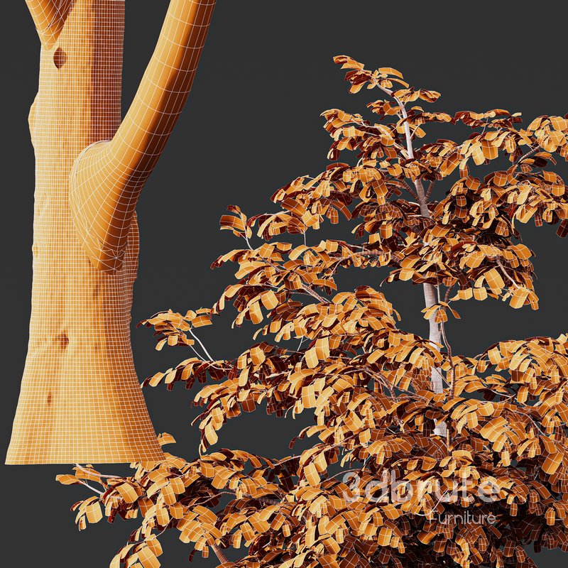 Carpinus Betulus 3d model Buy Download 3dbrute