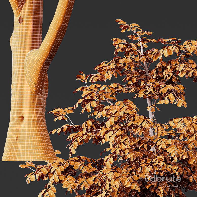 Carpinus Betulus and Celtis Australis 3d model Buy Download 3dbrute