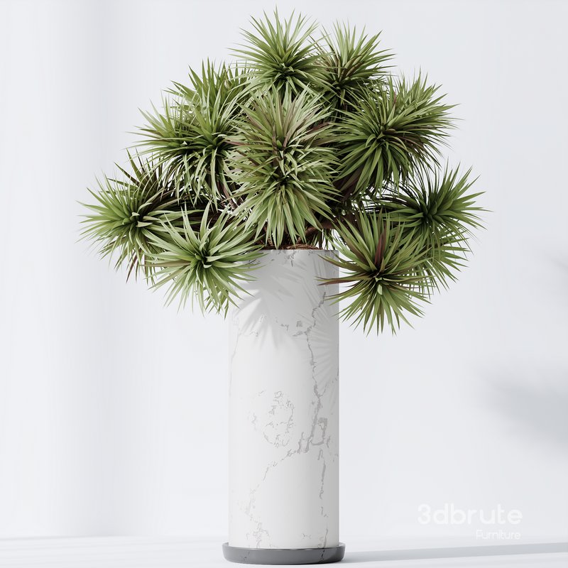 Yucca Elephantipes Gigantea Vase 07 3d model Buy Download 3dbrute