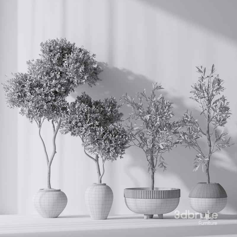 Mission Olive Tree Indoor Vase 06 3d model Buy Download 3dbrute