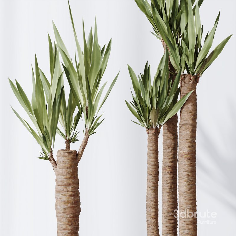 Yucca Elephantipes Gigantea Vase 07 3d model Buy Download 3dbrute