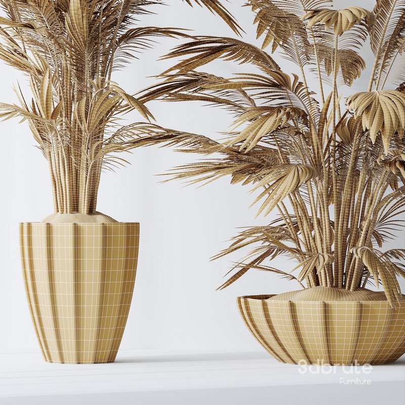 HQ Plants Areca Majesty Cat Reed Palm Set04 3d model Buy Download 3dbrute