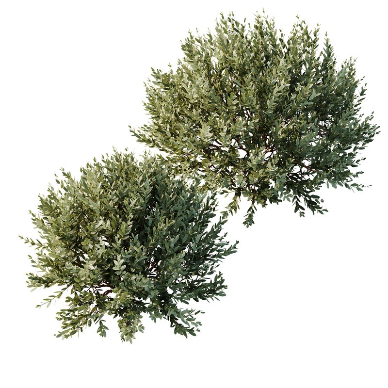 10 different bush 3d model Buy Download 3dbrute