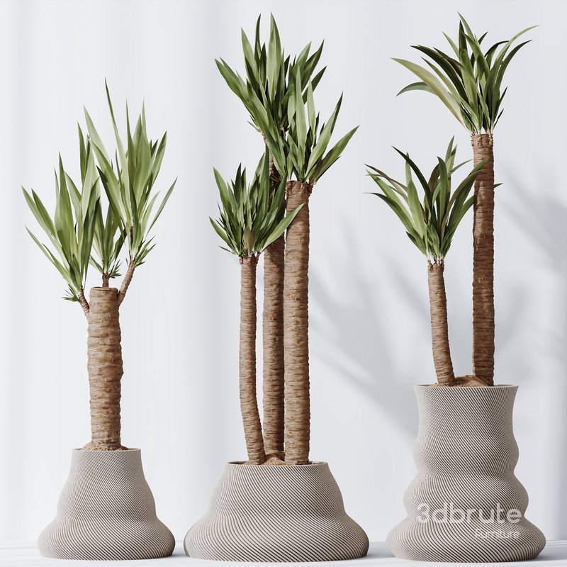 Yucca Elephantipes Gigantea Vase 07 3d model Buy Download 3dbrute