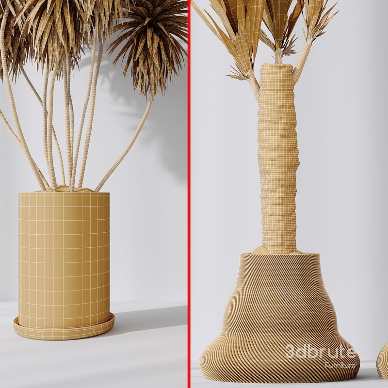 Yucca Elephantipes Gigantea Vase 07 3d model Buy Download 3dbrute