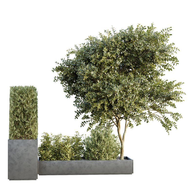 10 different bush 3d model Buy Download 3dbrute