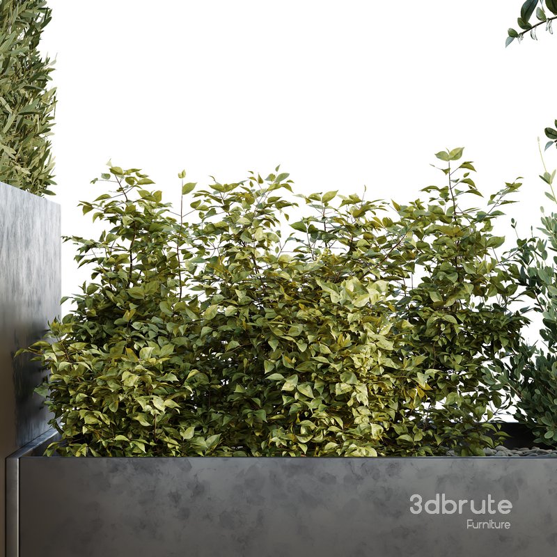 10 different bush 3d model Buy Download 3dbrute