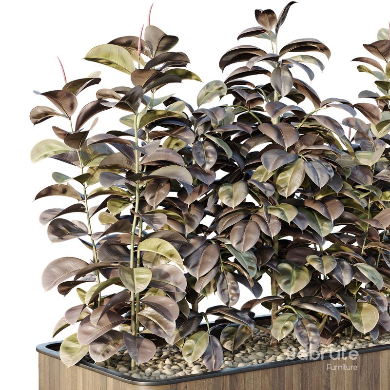 10 different bush 3d model Buy Download 3dbrute