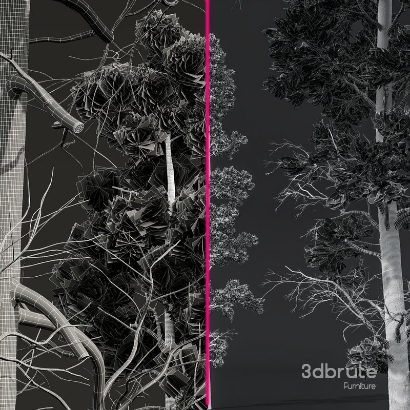 Celtis Australis 04 3d model Buy Download 3dbrute