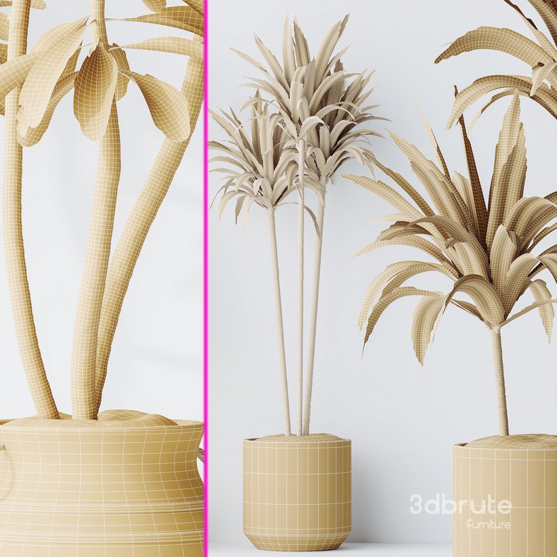 Lemon Cane Dragon and Euphorbia Drupifera set 19 3d model Buy Download ...