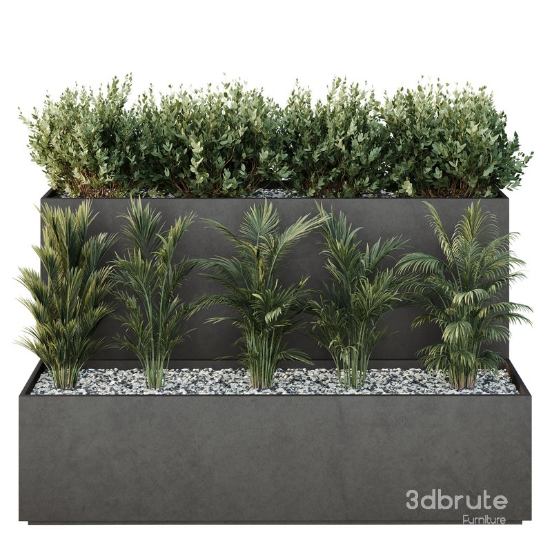 Tree and bush garden box outdoor VOL 55 3d model Buy Download 3dbrute
