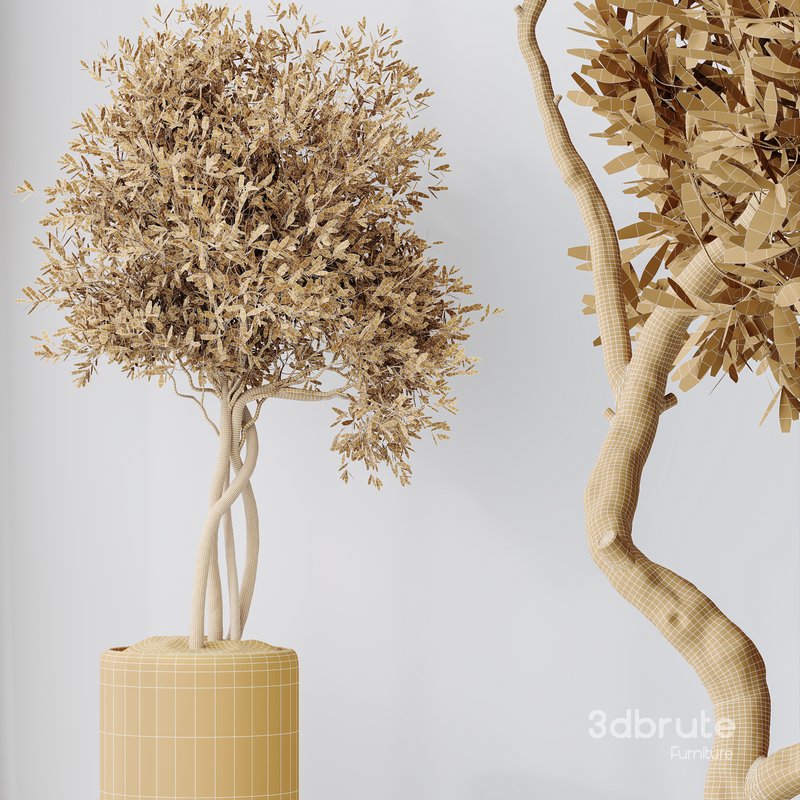 HousePlants Olive Artificial Olivo Olea Tree Set02 3d model Buy ...