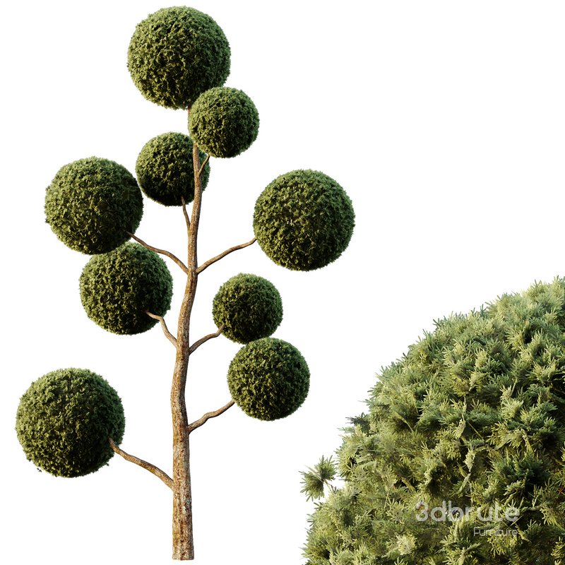 Spherical tree04 3d model Buy Download 3dbrute