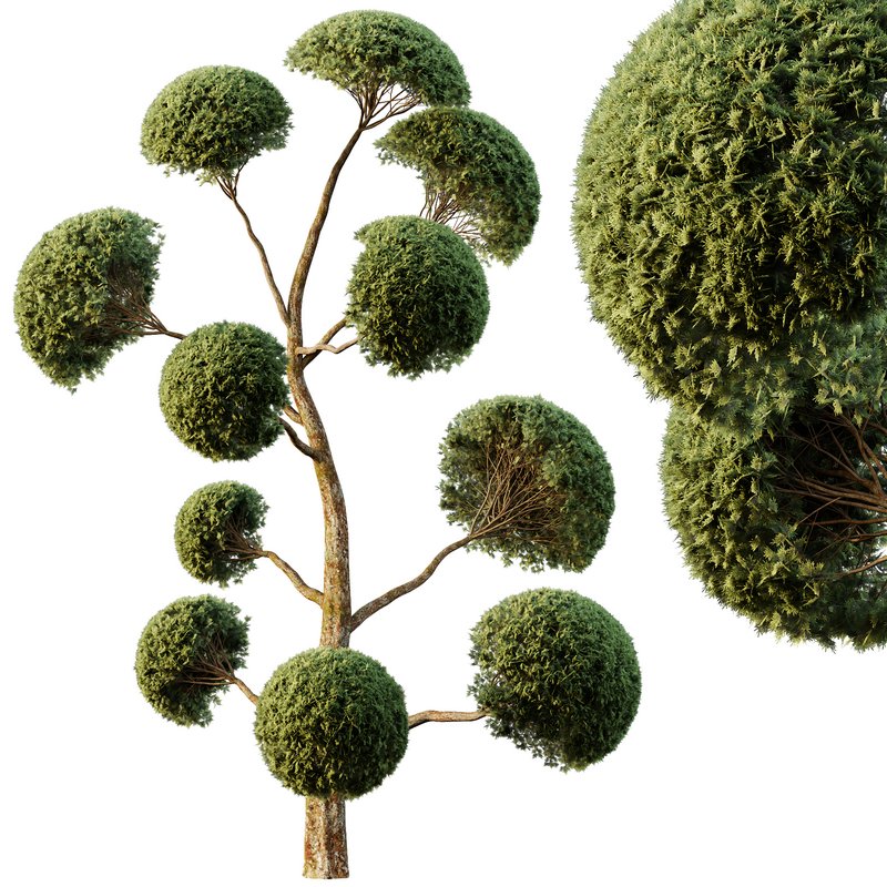 Spherical tree02 3d model Buy Download 3dbrute