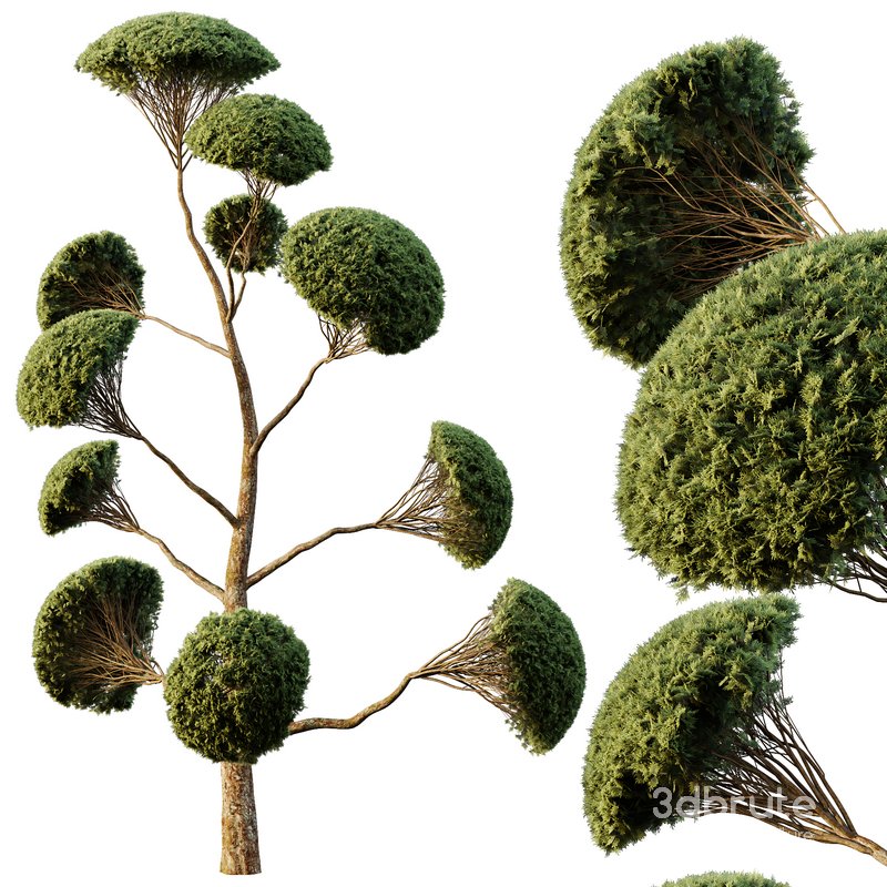 Spherical tree02 3d model Buy Download 3dbrute