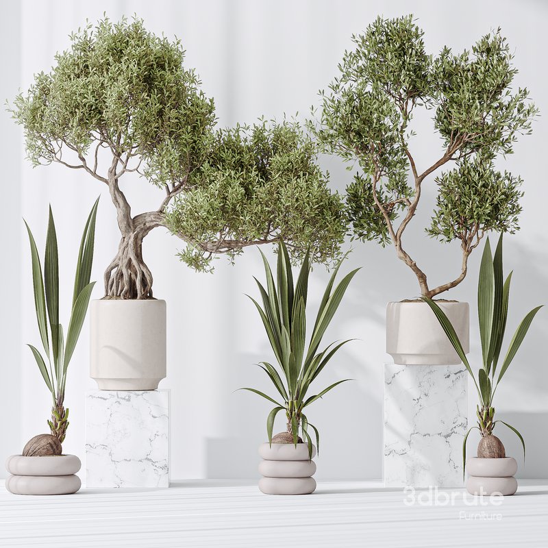 Indoor plant set 20 3d model Buy Download 3dbrute