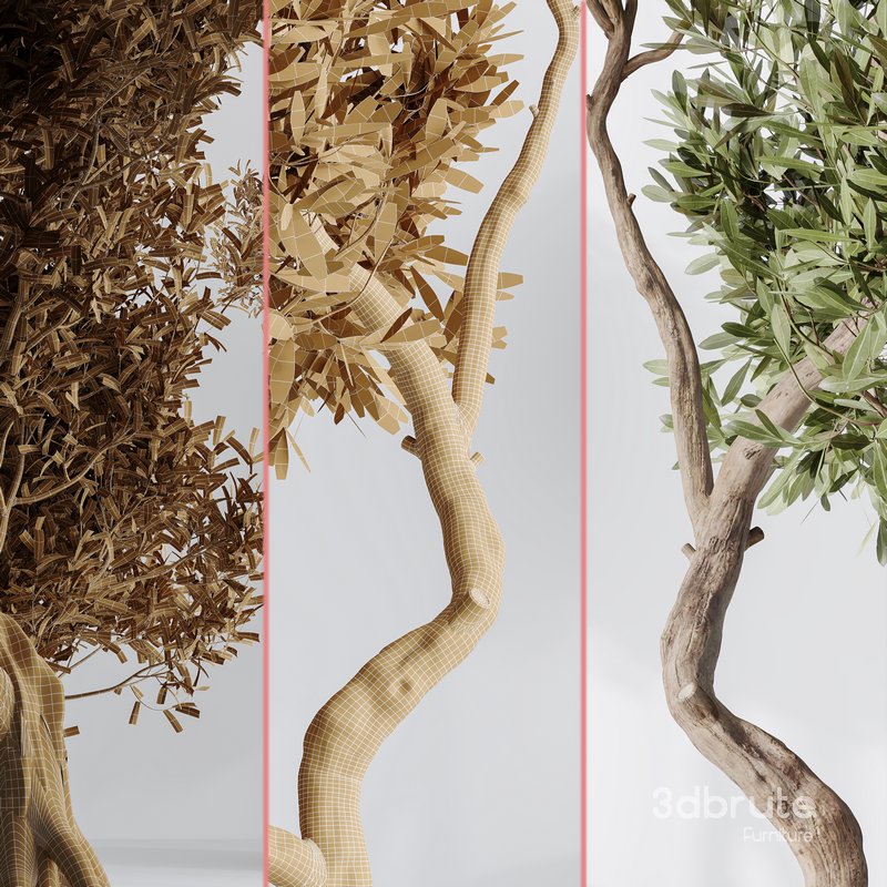 Indoor plant set 20 3d model Buy Download 3dbrute