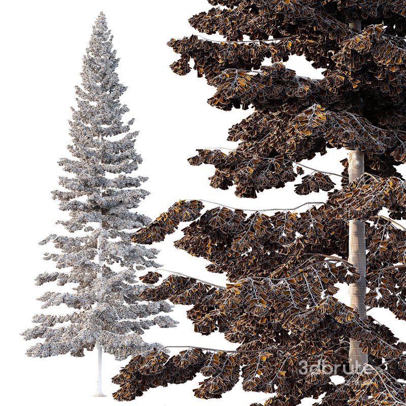 Spruce Tree05 3d model Buy Download 3dbrute
