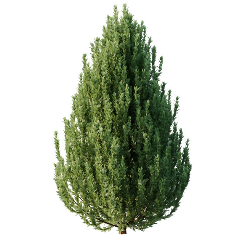pin bush 3d model Buy Download 3dbrute