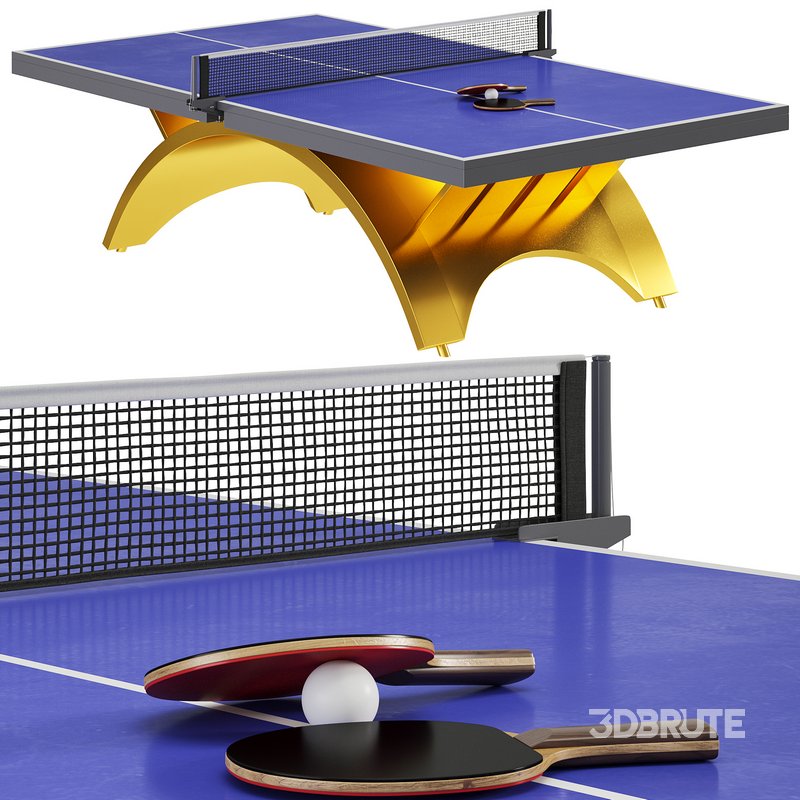 Tennis table Champion professional tournament table for table tennis by ...