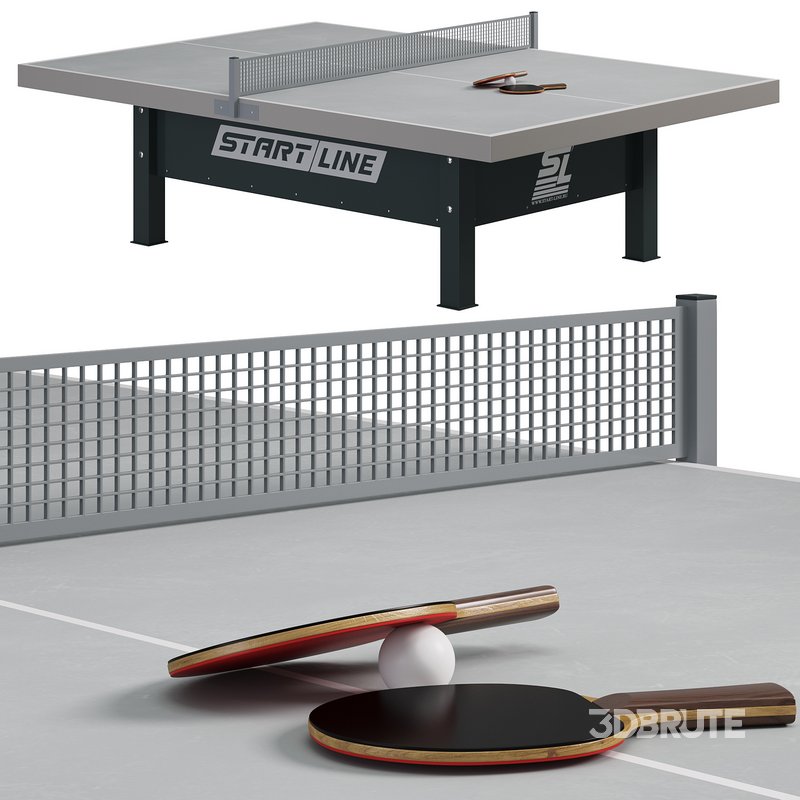 Tennis table Champion professional tournament table for table tennis by ...