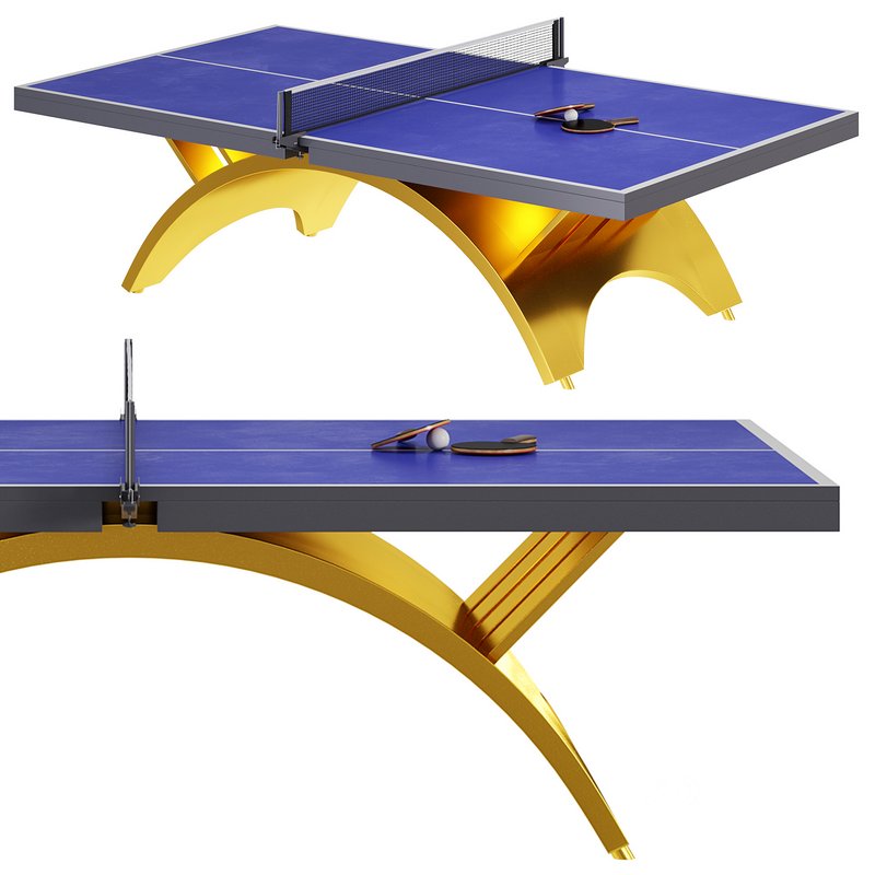 Tennis table Champion professional tournament table for table tennis by ...