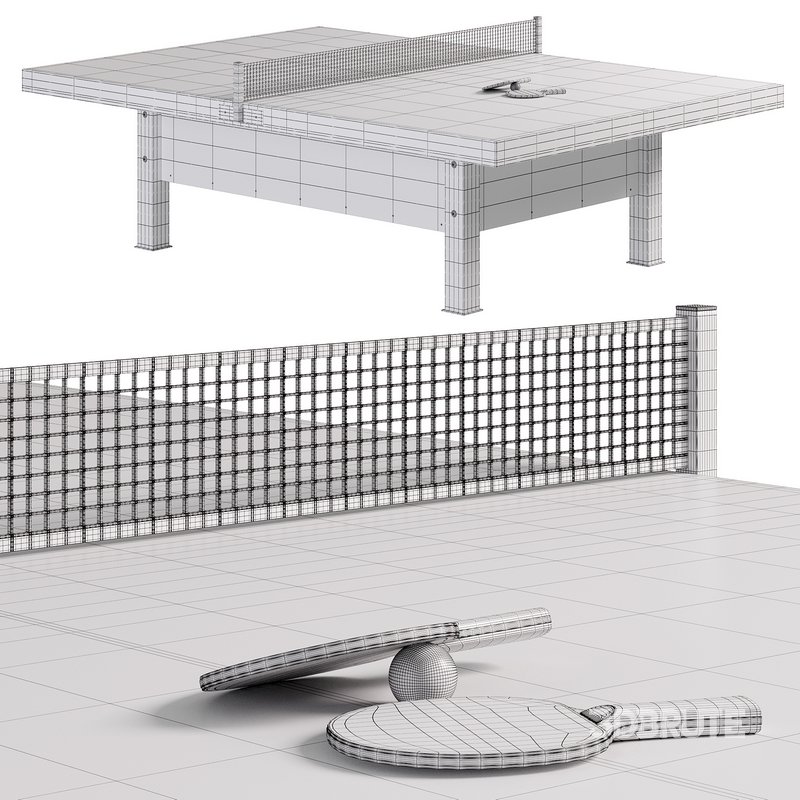 Tennis table Champion professional tournament table for table tennis by ...