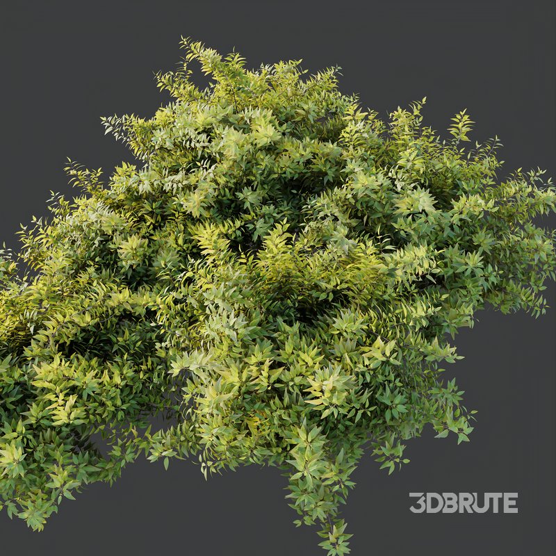 spring bush 3d model Buy Download 3dbrute