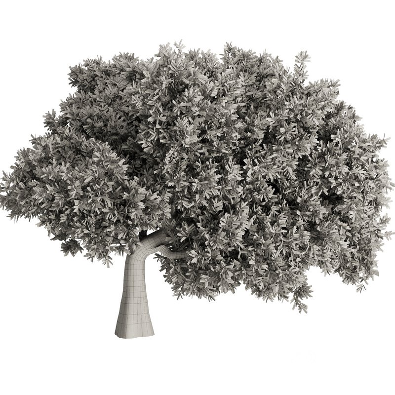 Olive Tree Set16 3d model Buy Download 3dbrute