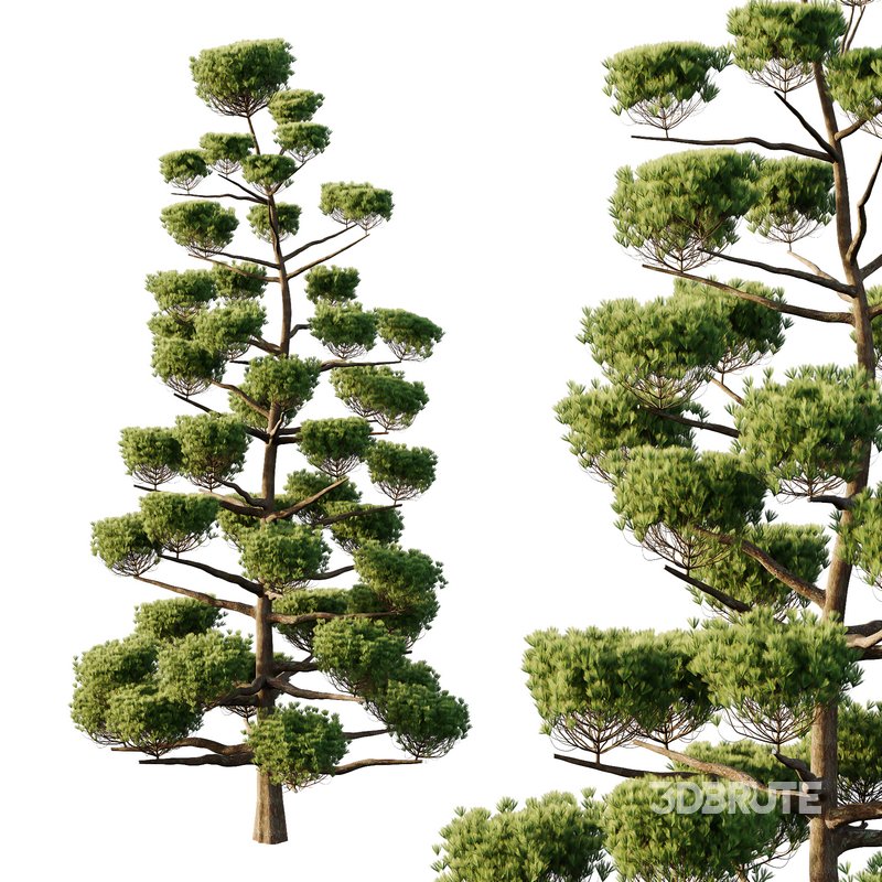 sphere Tree10 3d model Buy Download 3dbrute