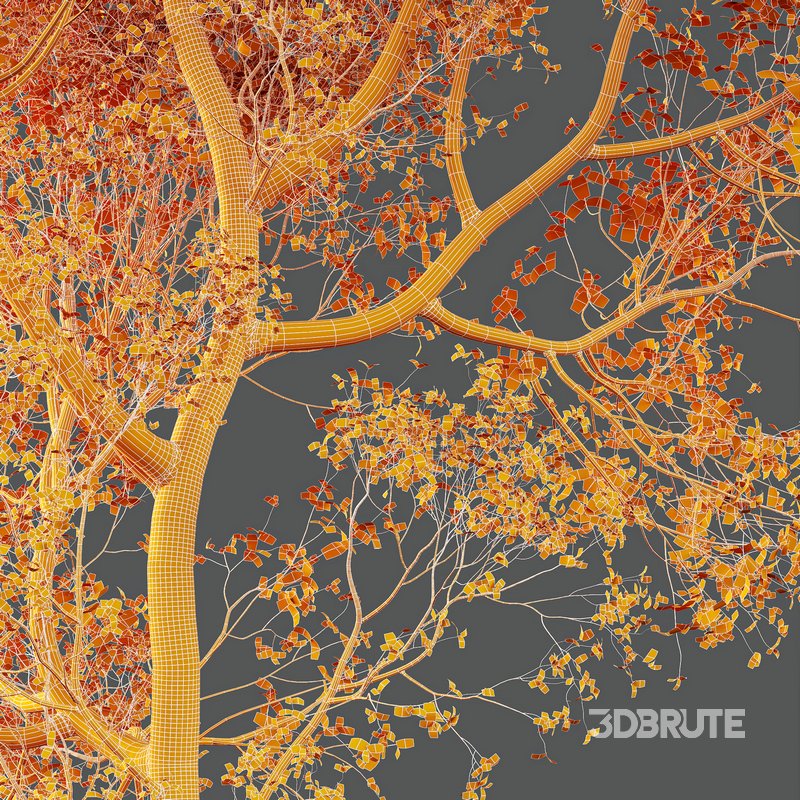 spring trees Acer Pseudoplatanus and Celtis Australis 3d model Buy ...