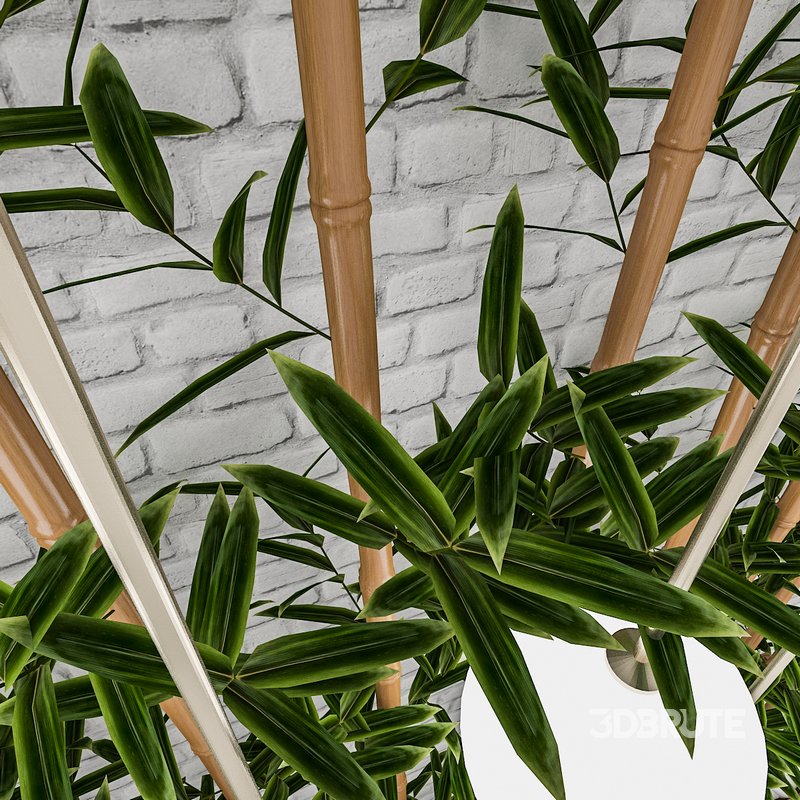 3D model bamboo and snaps separator 3d model Buy Download 3dbrute