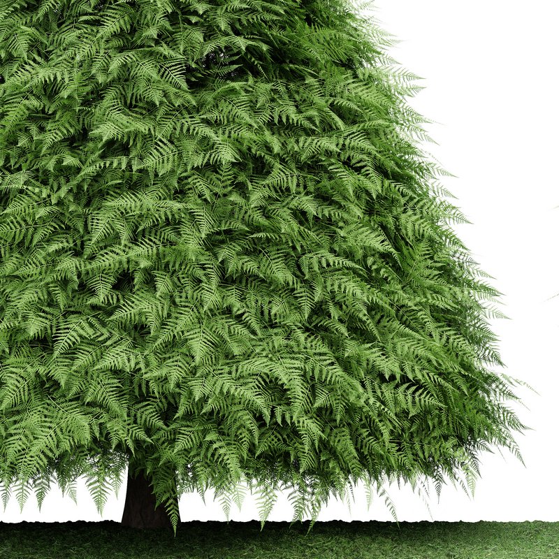 2 Different tree Cone shaped green coniferous 3d model Buy Download 3dbrute