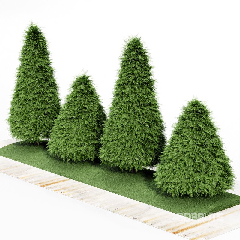 2 Different tree Cone shaped green coniferous 3d model Buy Download 3dbrute