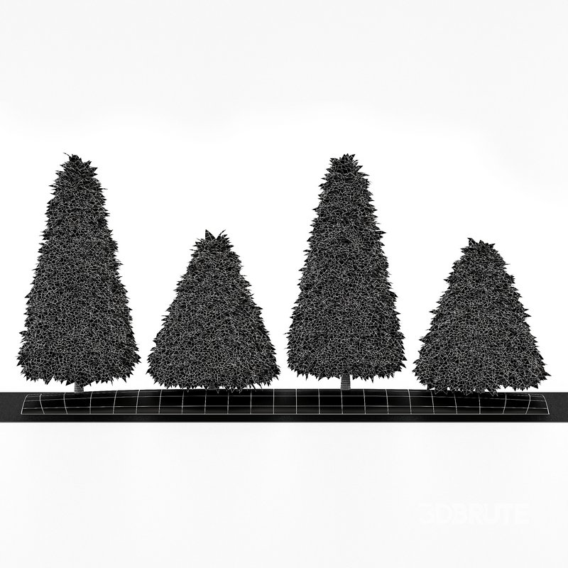 2 Different tree Cone shaped green coniferous 3d model Buy Download 3dbrute