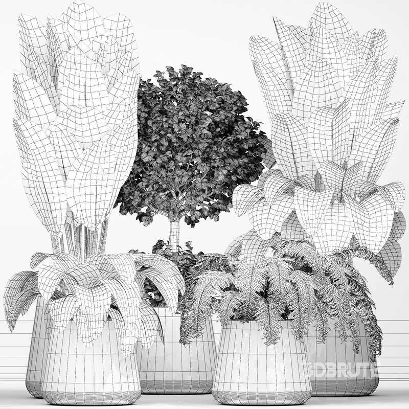 Indoor plant 04 3d model Buy Download 3dbrute