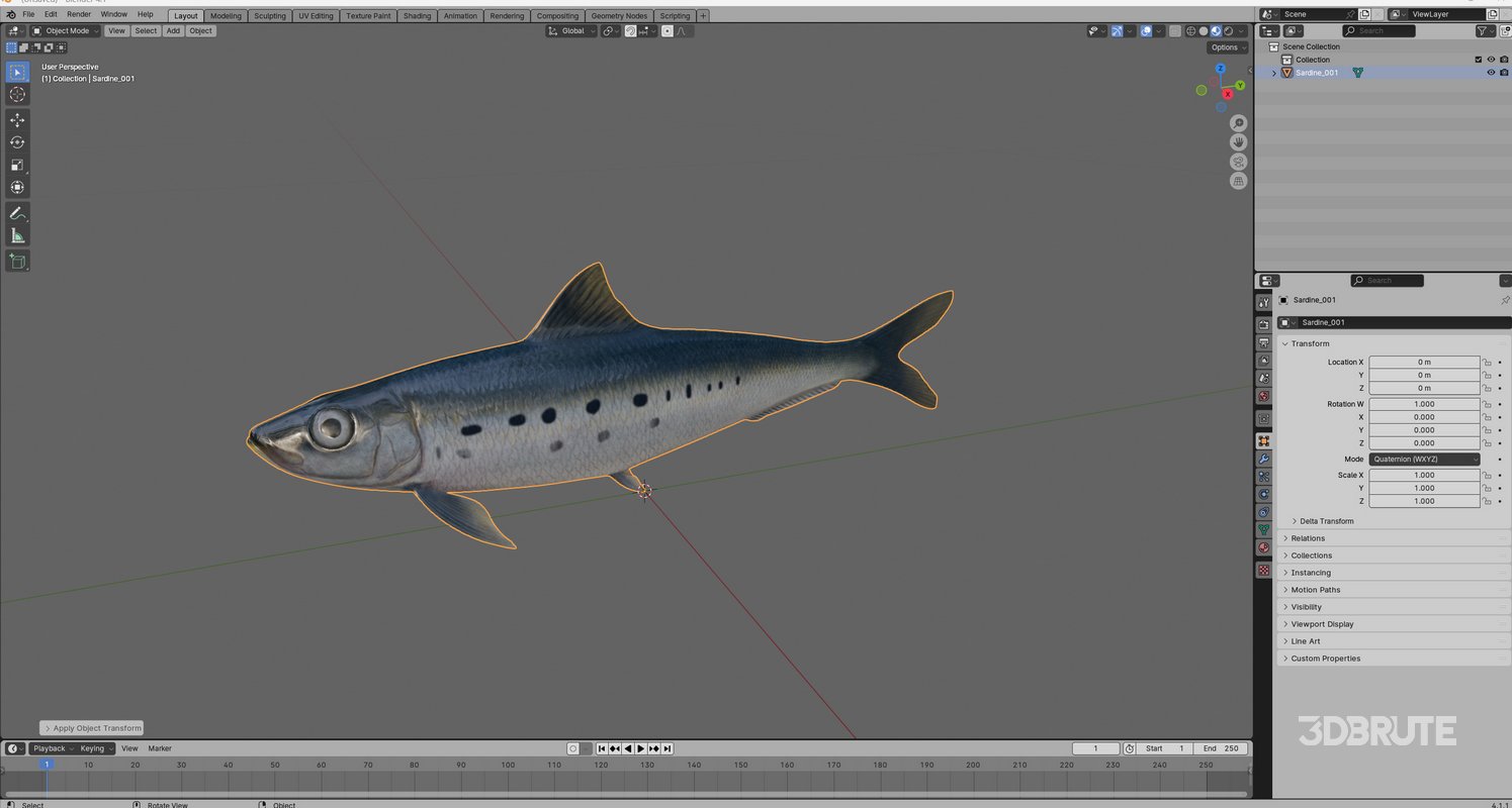 Sardine Fish 3d model Buy Download 3dbrute