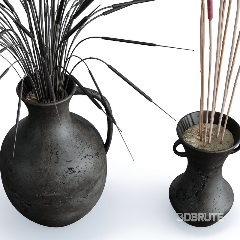 HQ HousePlants Decorative Stoilan Pampas Dried Branches Pampy 3d model ...