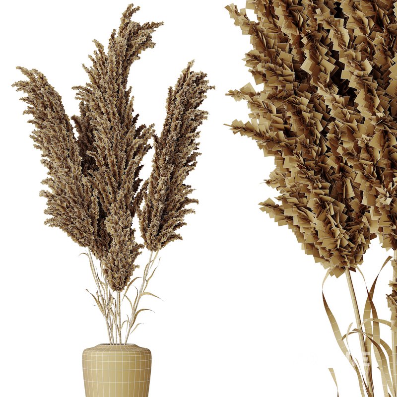 HQ HousePlants Decorative Miscanthus Pampas Dried Branches Pampy 3d ...