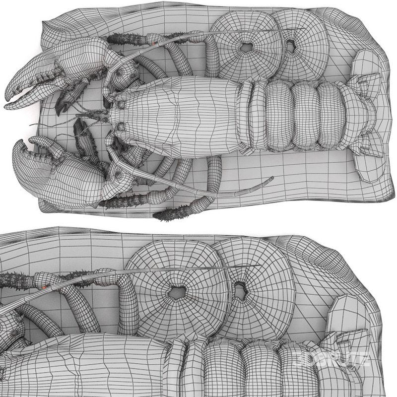 lobster set 3d model Buy Download 3dbrute